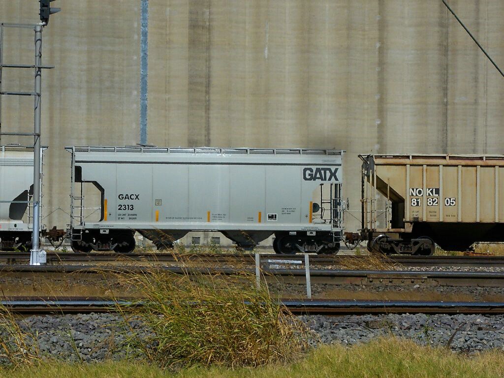 GACX 2313 & NOKL 818205